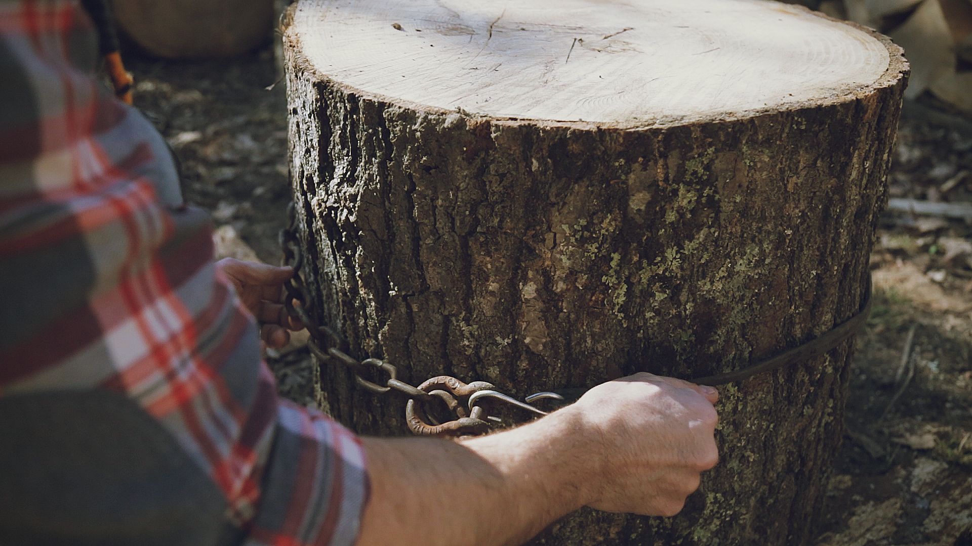 How to Split Large Rounds of Wood Easily : 5 Steps (with Pictures ...
