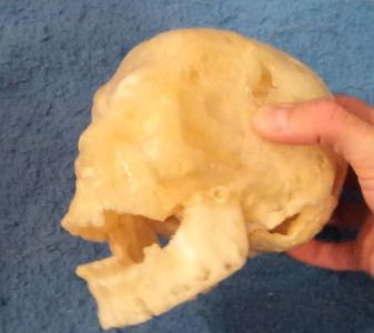 How to Make a Skeleton & Corpse From Scratch : 4 Steps (with Pictures ...