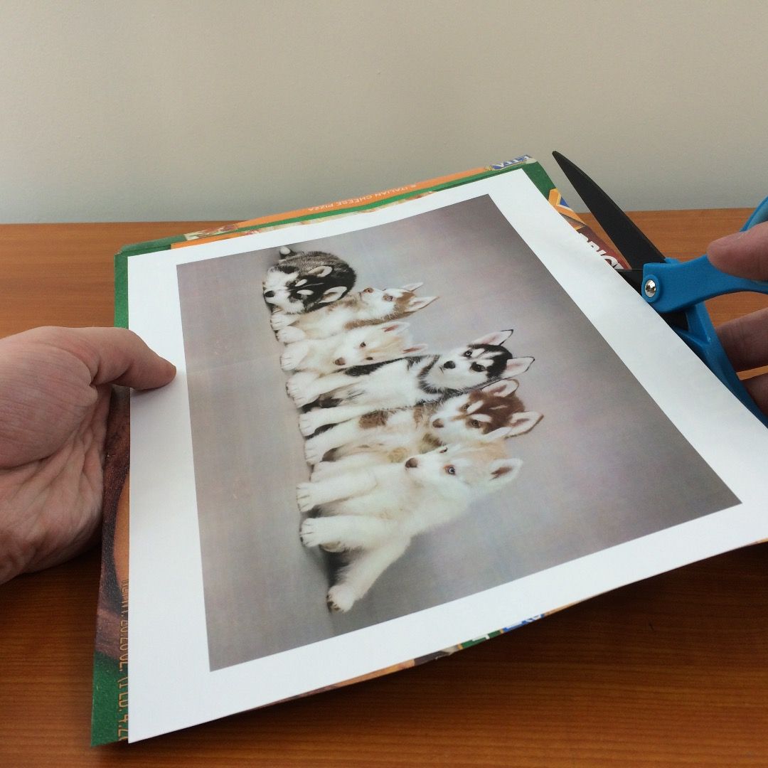 DIY Jigsaw Puzzle : 5 Steps - Instructables