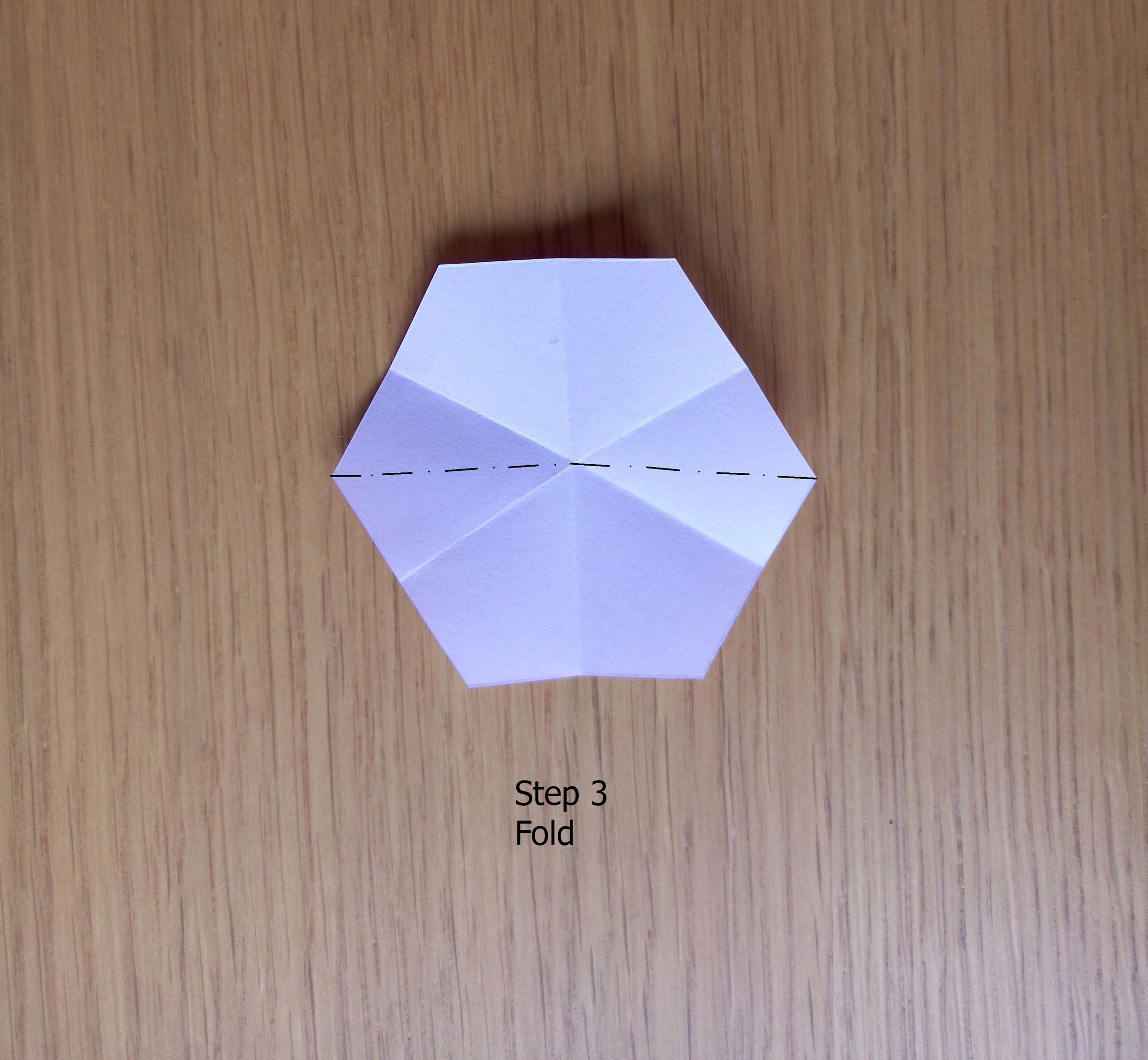 Origami Hyacinth : 9 Steps (with Pictures) - Instructables