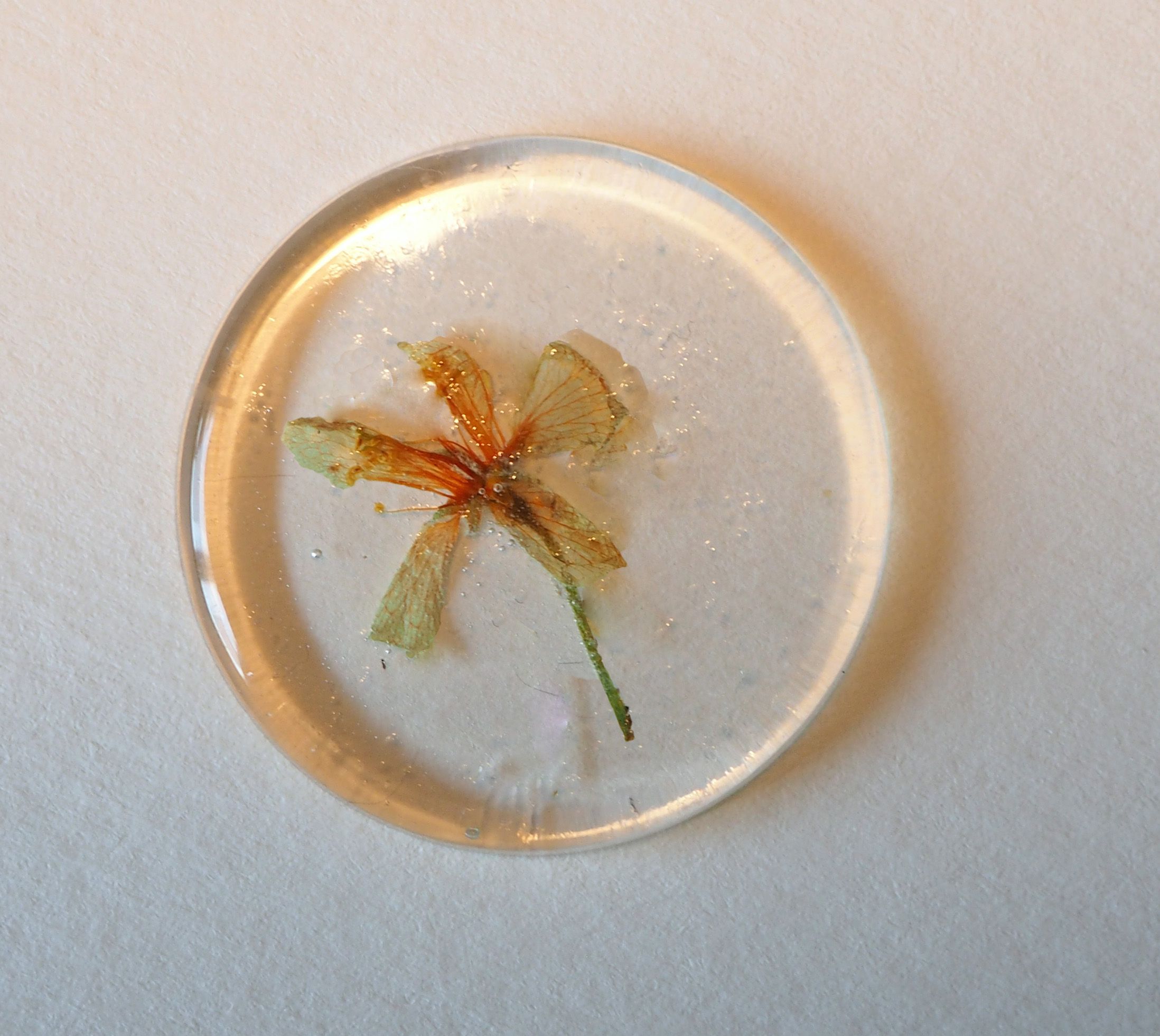 Techniques to Embed Flowers in Resin : 12 Steps (with Pictures ...