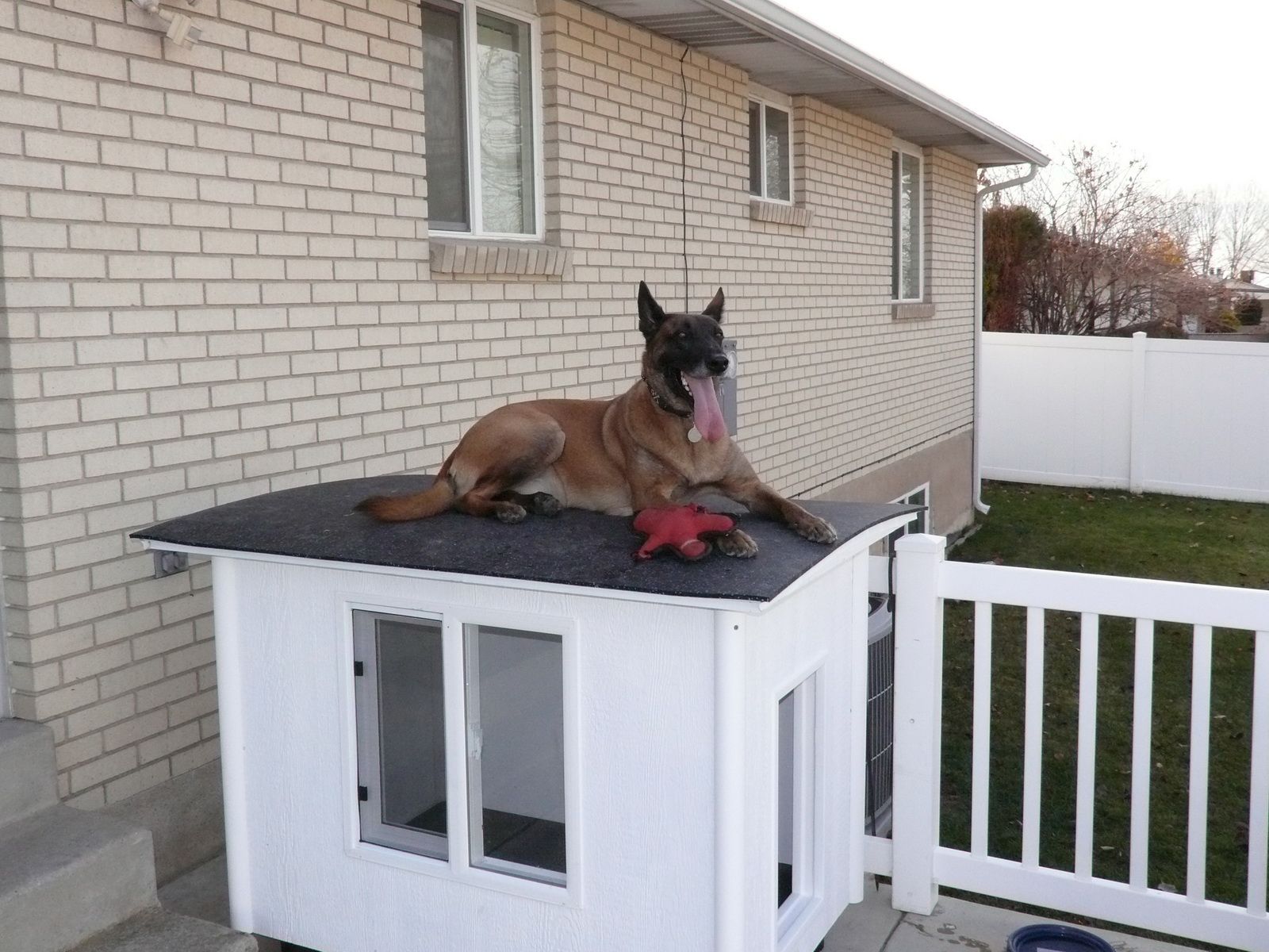 The Dog Mansion - or - Knock-Down Dog House : 6 Steps (with Pictures ...