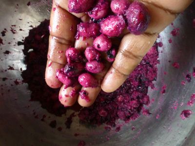 How to Make Jamun Wine : 8 Steps (with Pictures) - Instructables