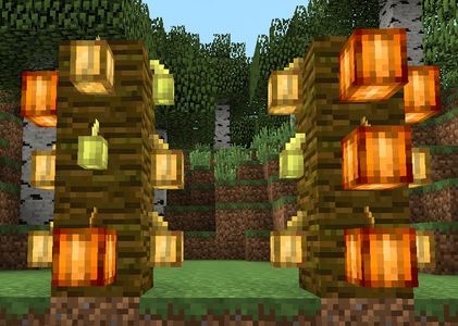 Farming in Minecraft : 10 Steps (with Pictures) - Instructables