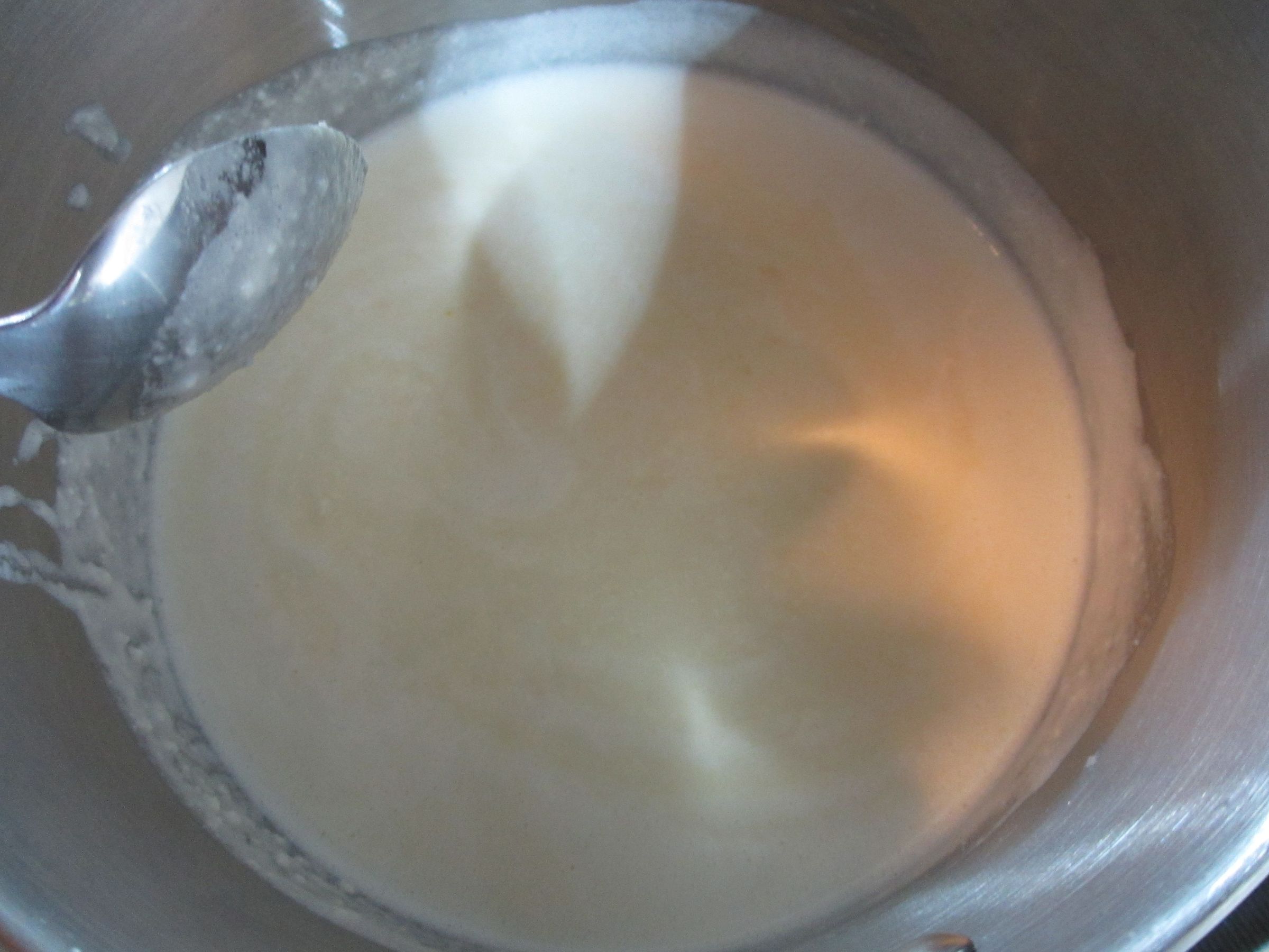 Parmesan Foam : 6 Steps (with Pictures) - Instructables