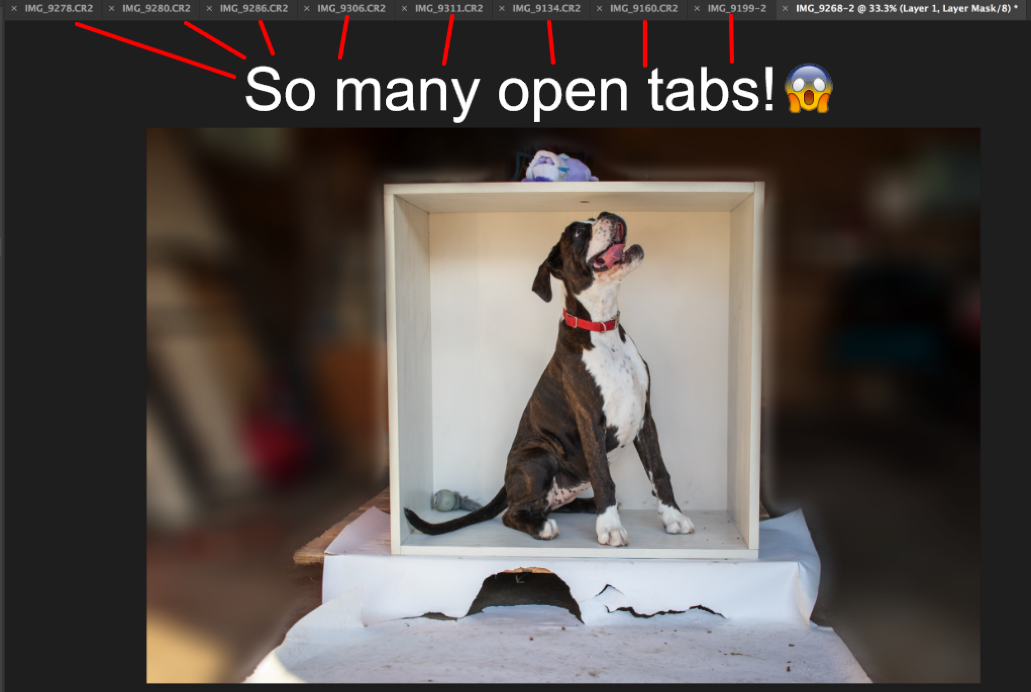 In the Box Photography : 10 Steps (with Pictures) - Instructables