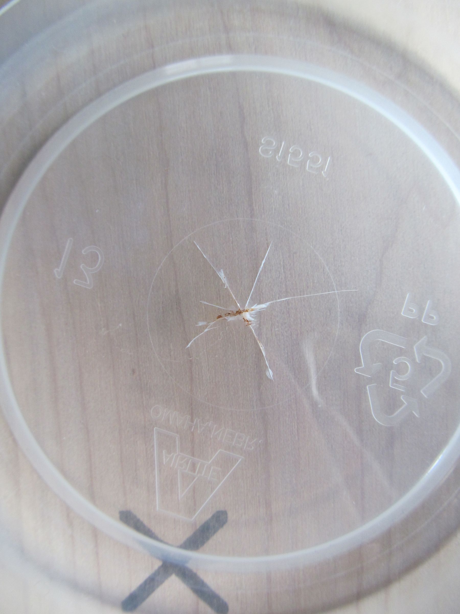 Potted Plant Secret Compartment : 5 Steps (with Pictures) - Instructables