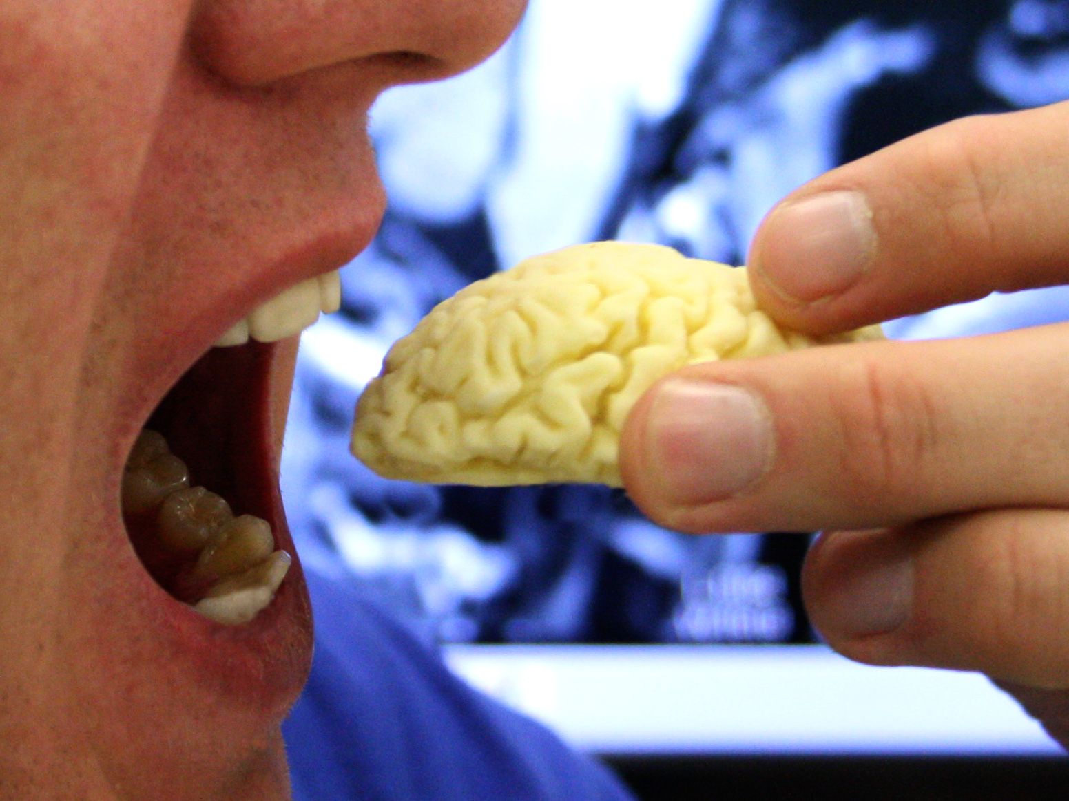 Edible Chocolate Brain From MRI Scan : 9 Steps (with Pictures ...
