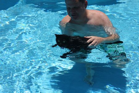 How to Teach a Cat to Swim. : 8 Steps (with Pictures) - Instructables