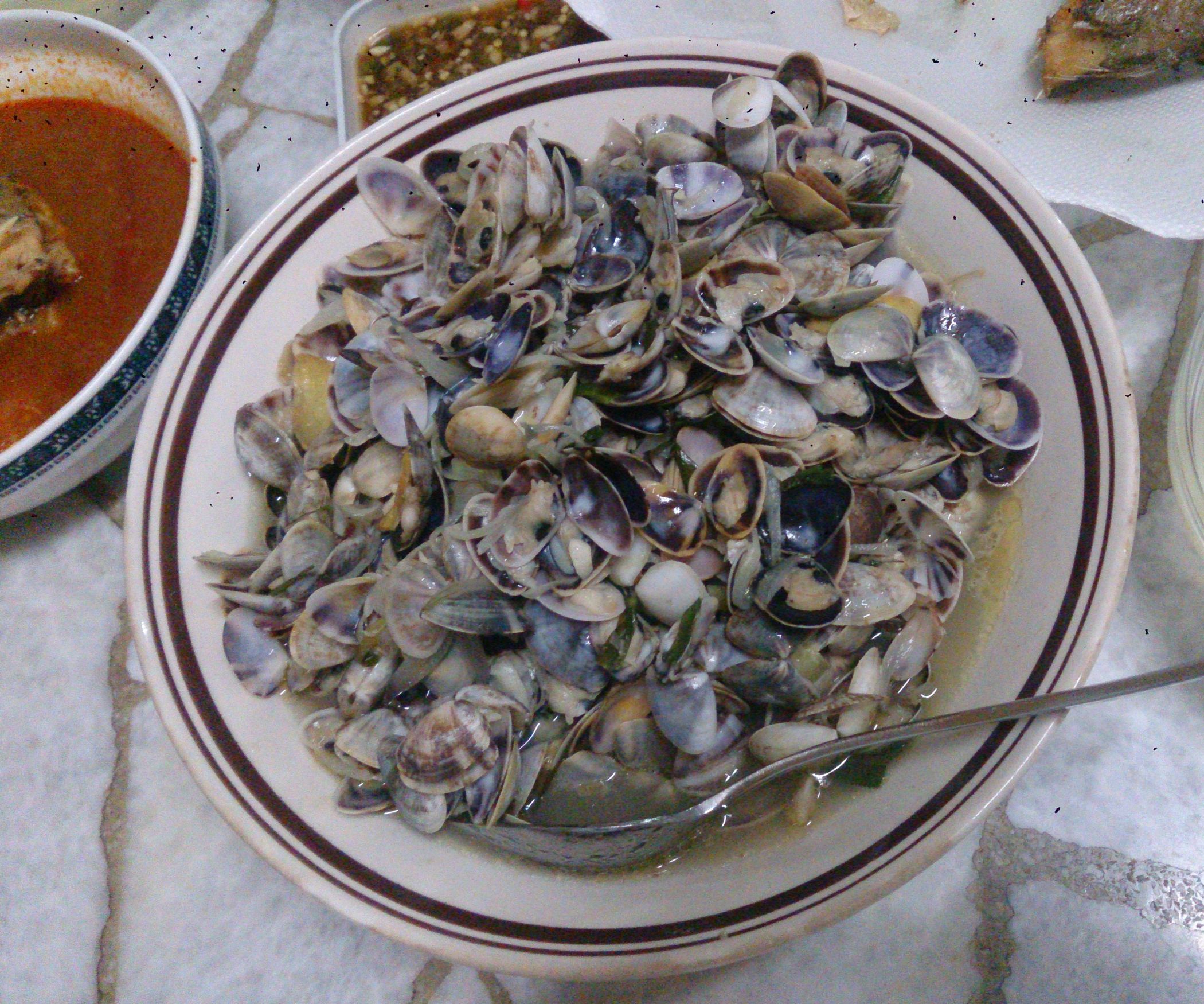 Cooking Coquinas : 3 Steps (with Pictures) - Instructables