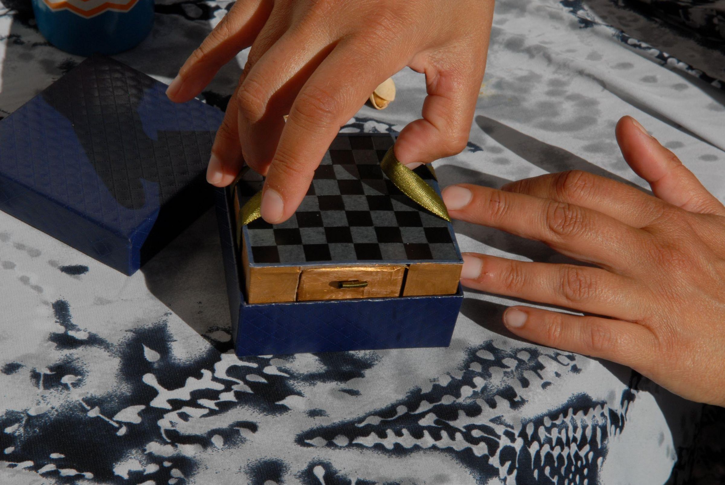 Shark Scale Inspired Portable Miniature Checkers : 10 Steps (with ...