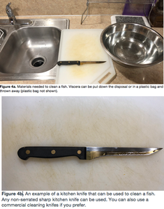 How to Clean a Fish : 22 Steps (with Pictures) - Instructables