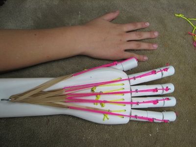 Science Fair - Articulated Hand