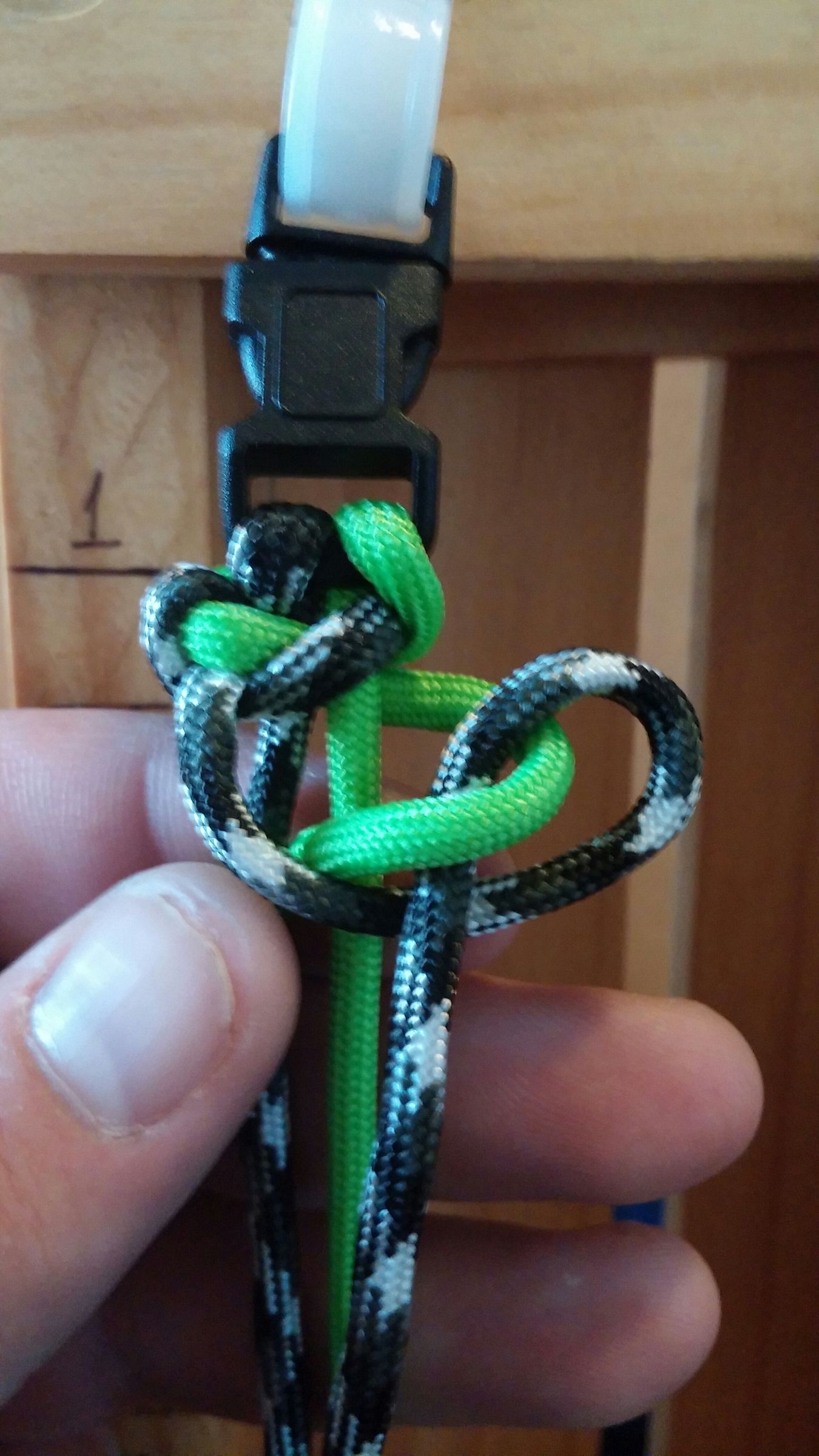 Dragon Claw : 10 Steps (with Pictures) - Instructables