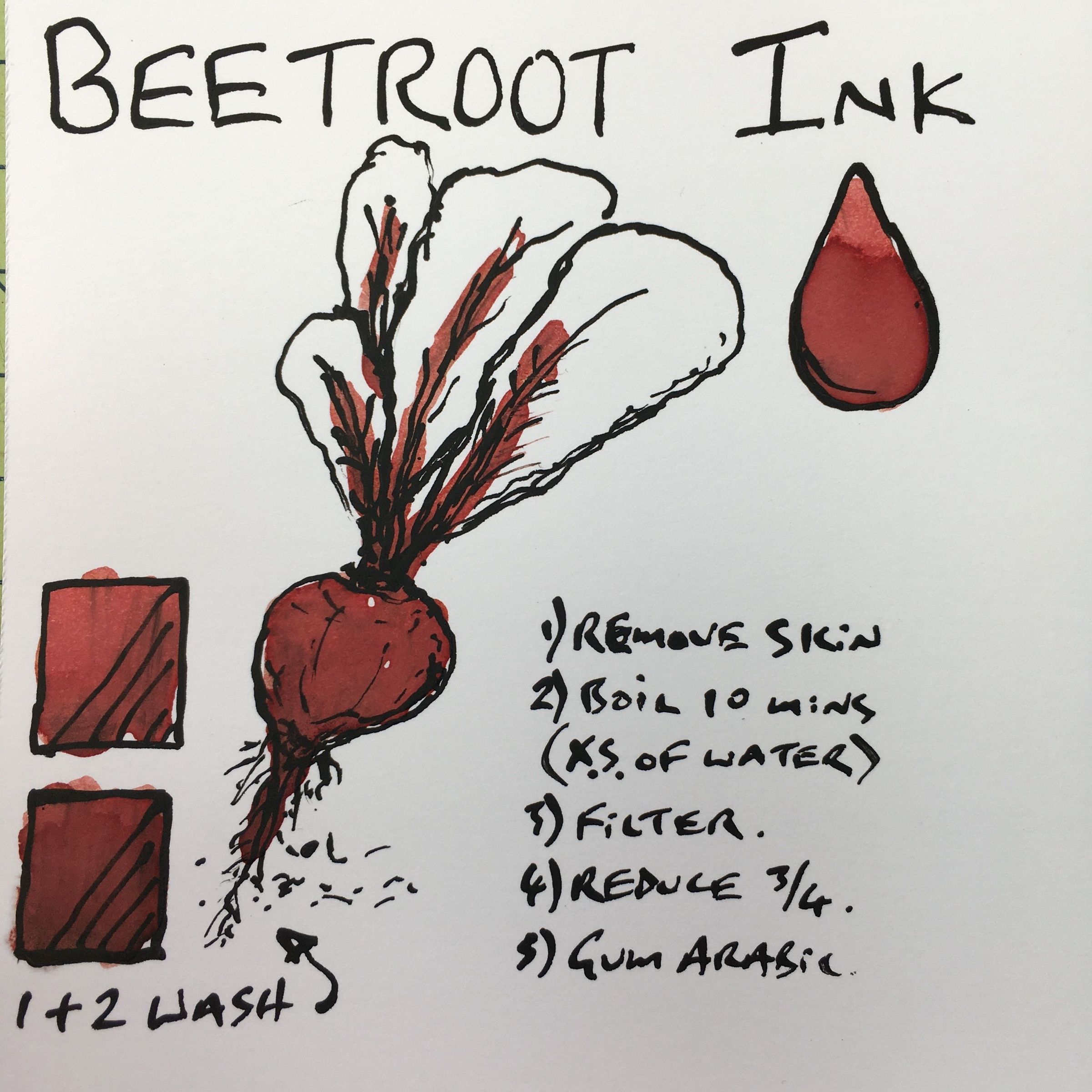 Home Made Ink From Nature: Perfect Purples : 18 Steps (with Pictures ...