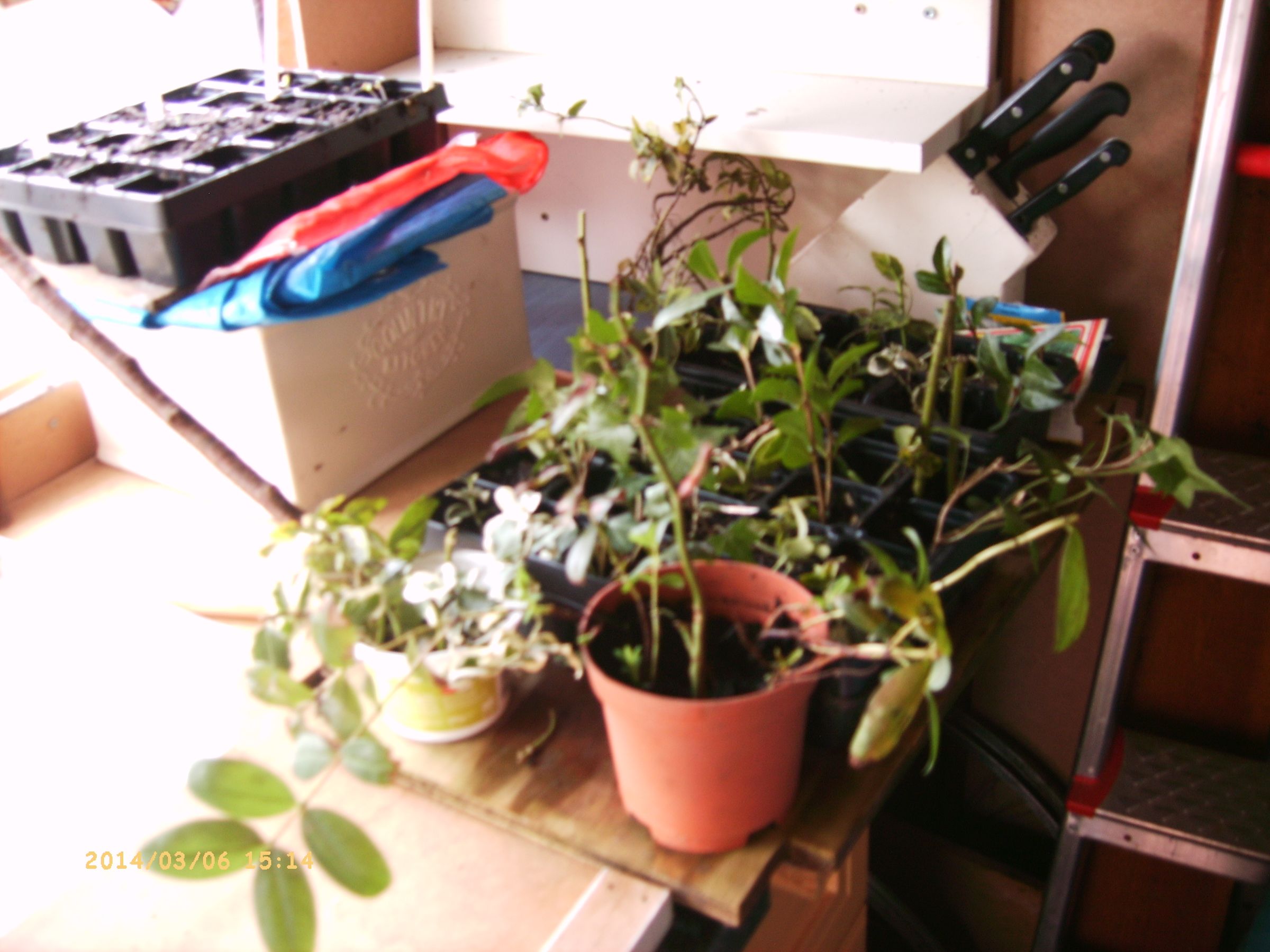 Need for Seed : 7 Steps - Instructables