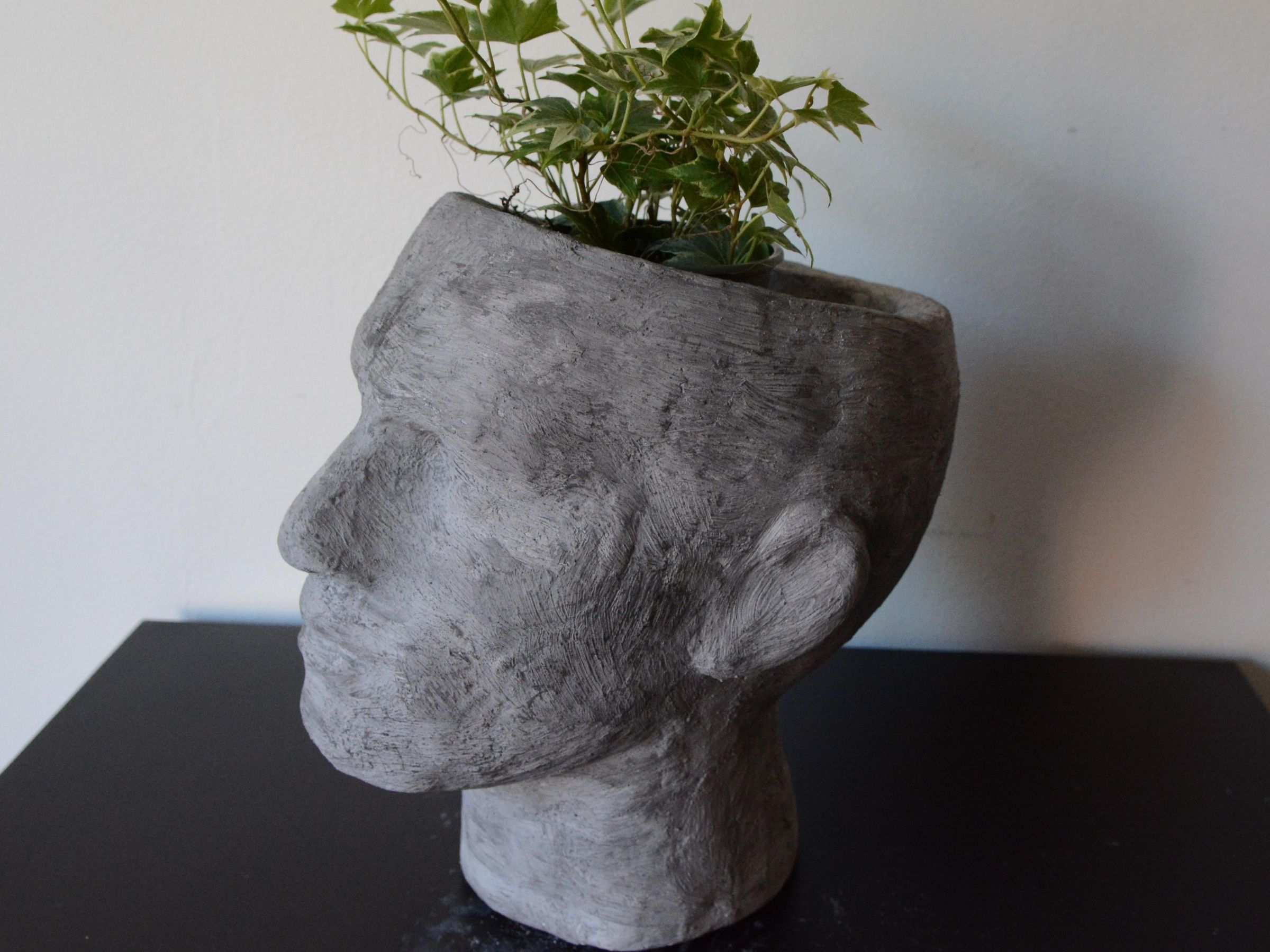 Faux Concrete Head Planter : 9 Steps (with Pictures) - Instructables
