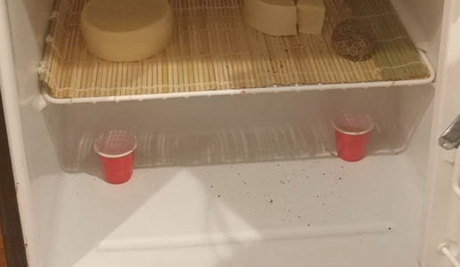 Make a Cheese Cave From a Mini Fridge! : 4 Steps (with Pictures ...