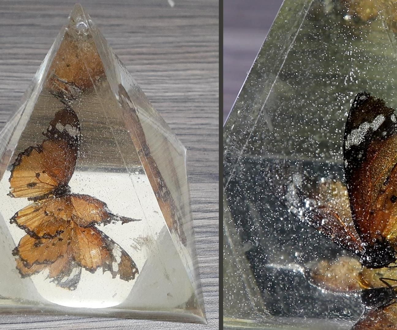 Butterfly In Epoxy Resin Diy Resin Art 3 Steps Instructables