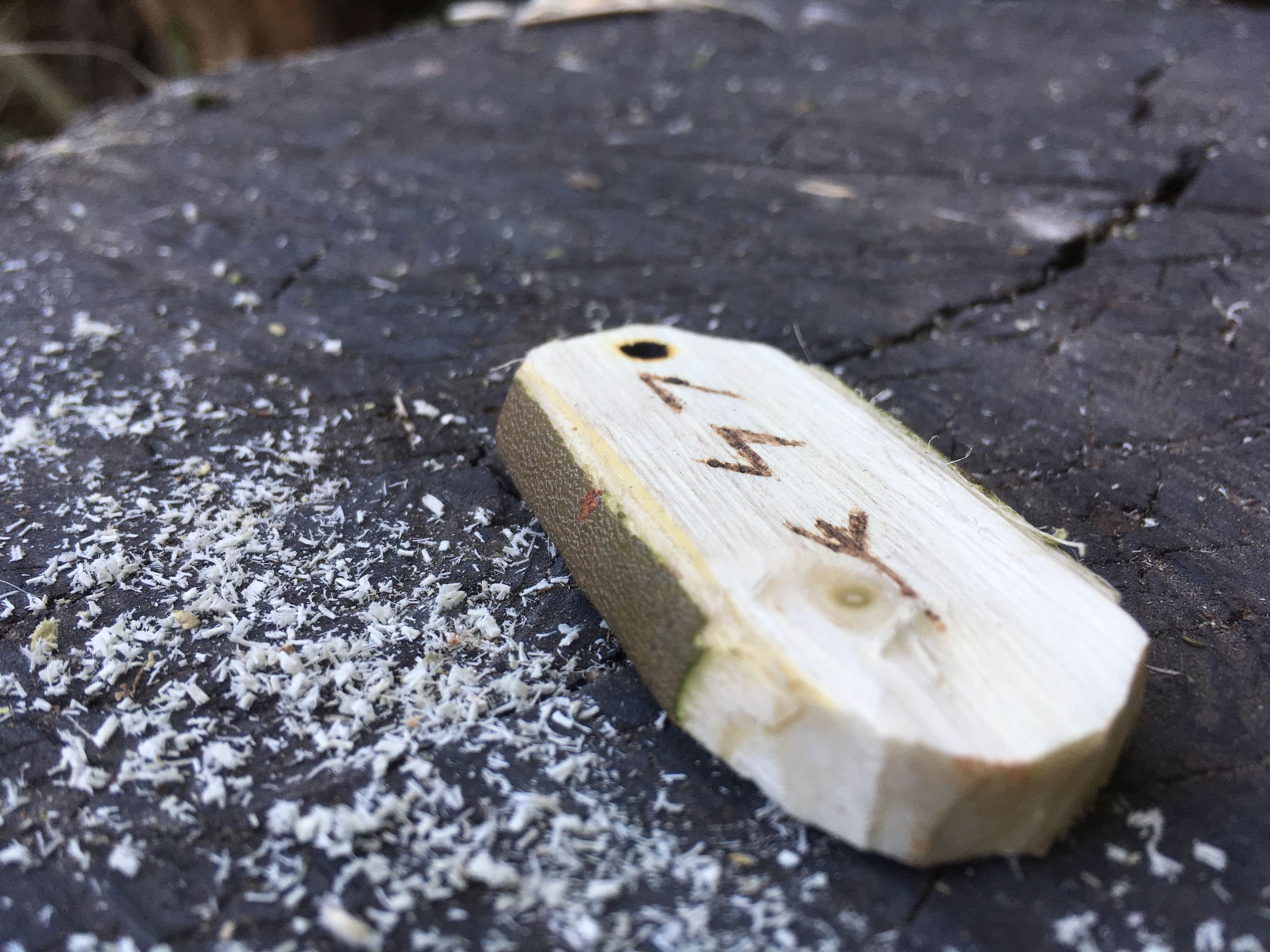 5 Super-easy Branch Carving Projects : 10 Steps (with Pictures ...