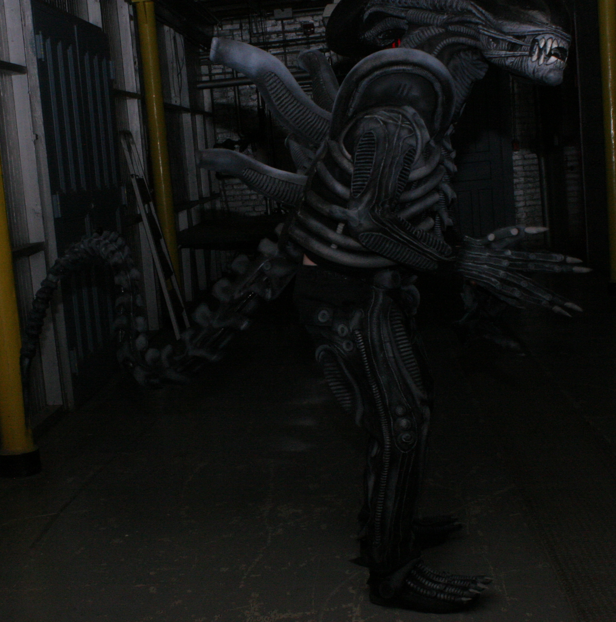 Alien Xenomorph Costume : 17 Steps (with Pictures) - Instructables