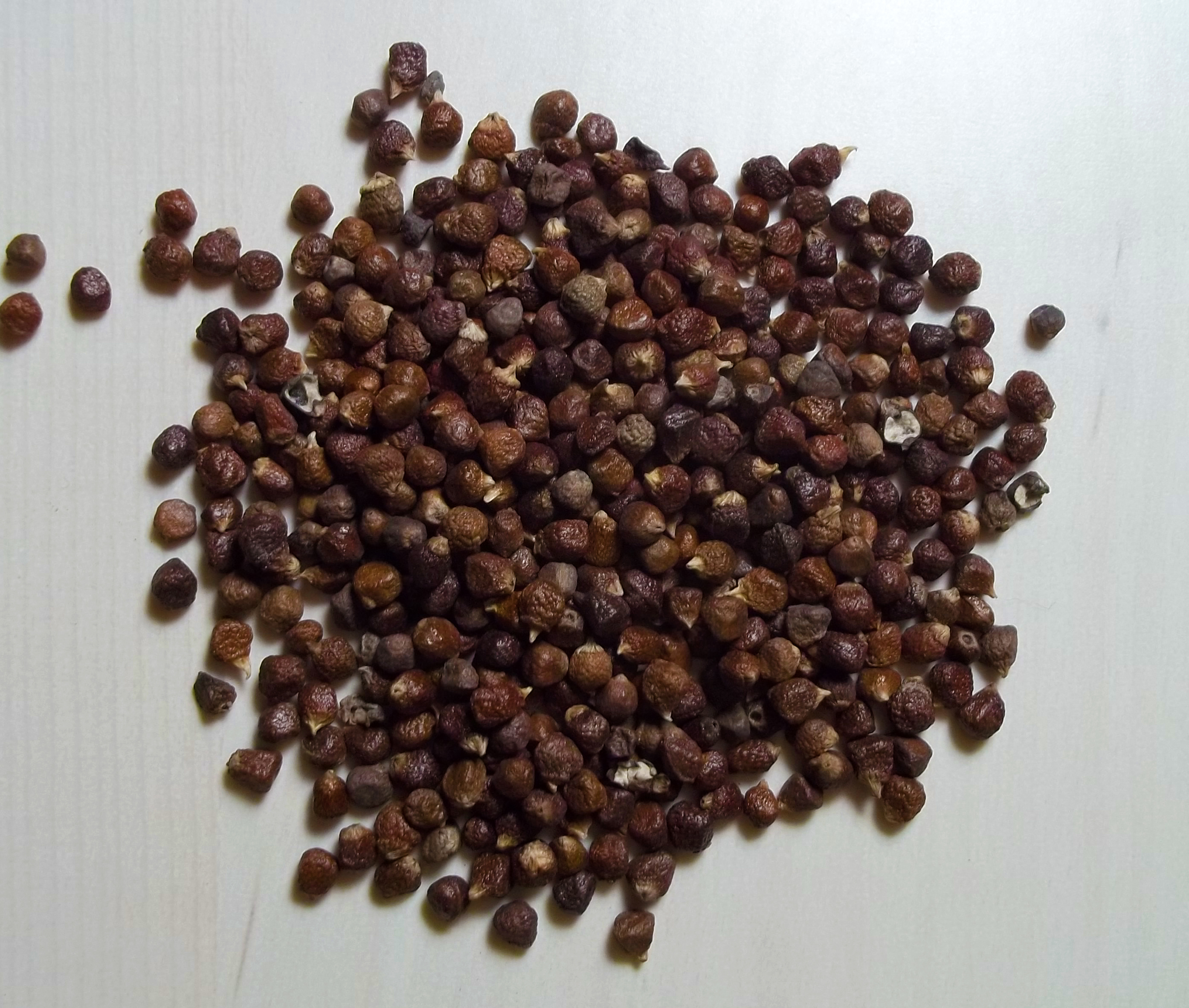 DIY Compound Gin : 7 Steps (with Pictures) - Instructables