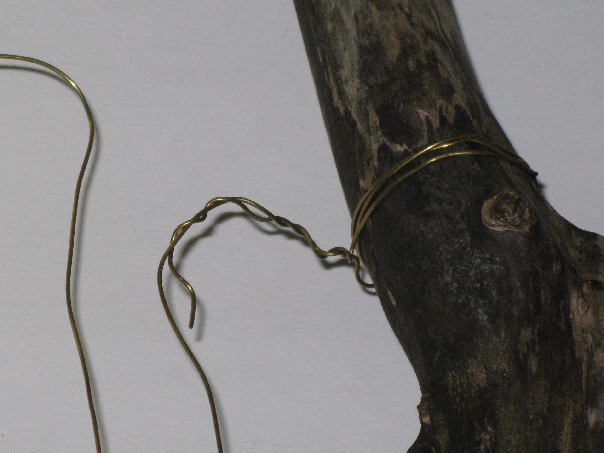 Snaring : 9 Steps (with Pictures) - Instructables