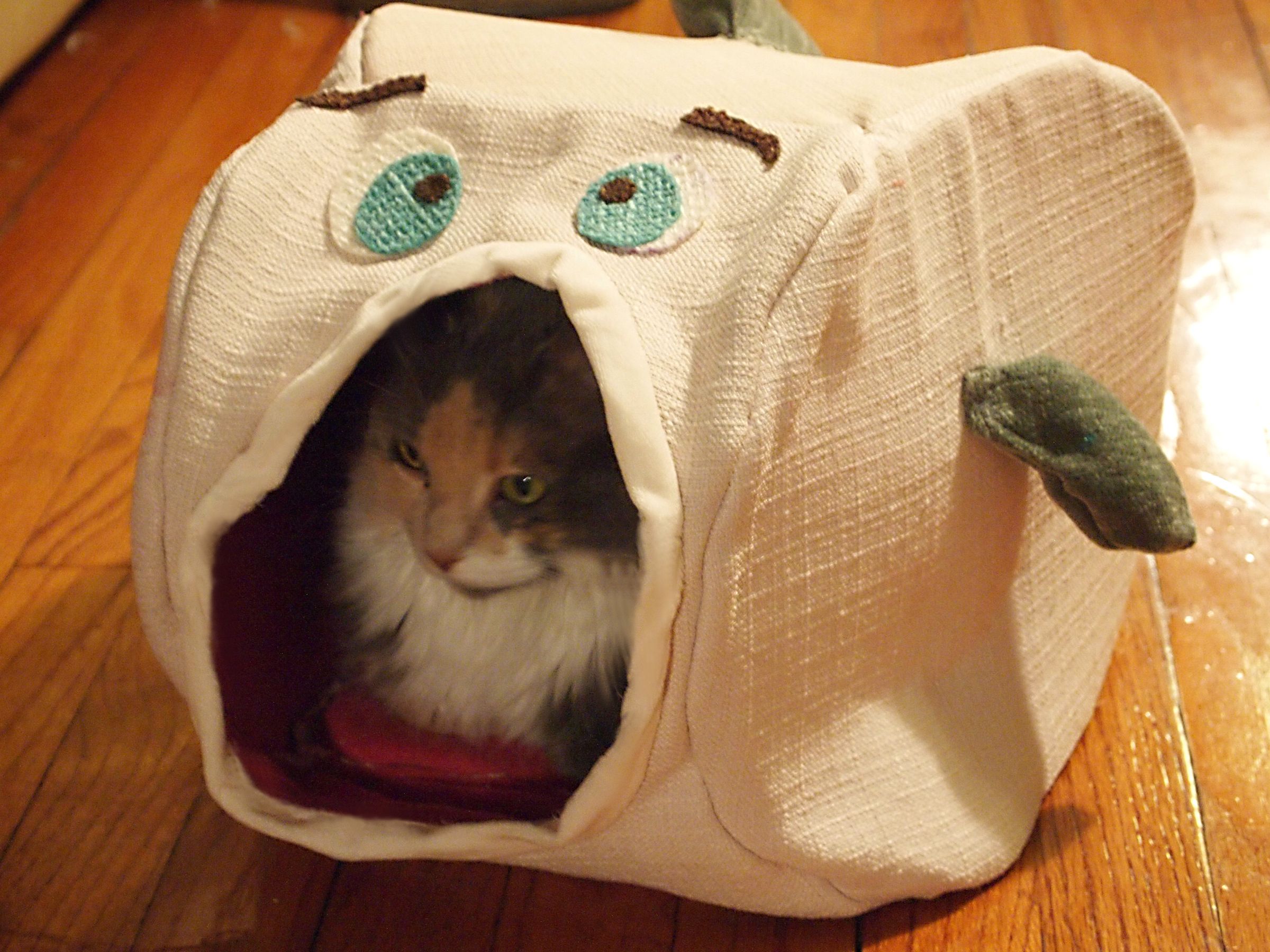 How to Sew a Fish Cat House : 8 Steps (with Pictures) - Instructables