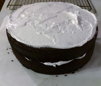 Chocolate Shadow Cake : 6 Steps (with Pictures) - Instructables