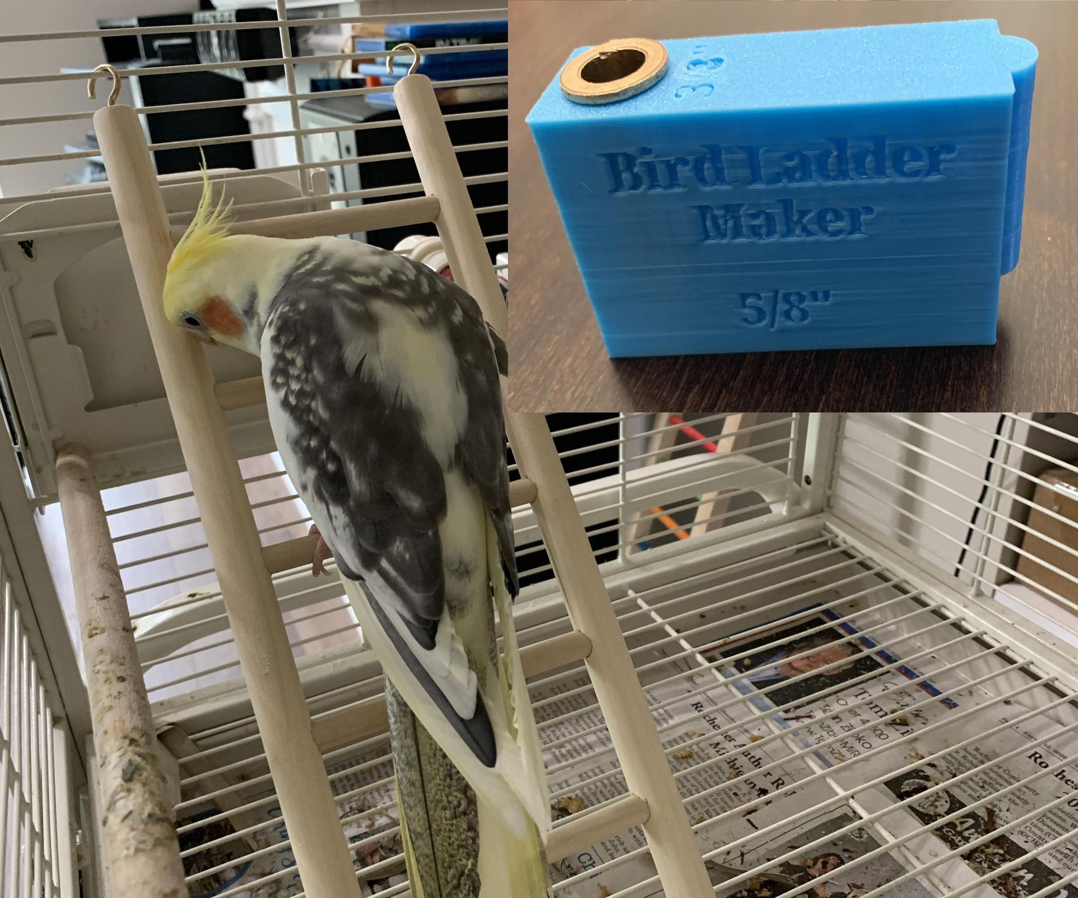 Bird Ladder Maker : 9 Steps (with Pictures) - Instructables