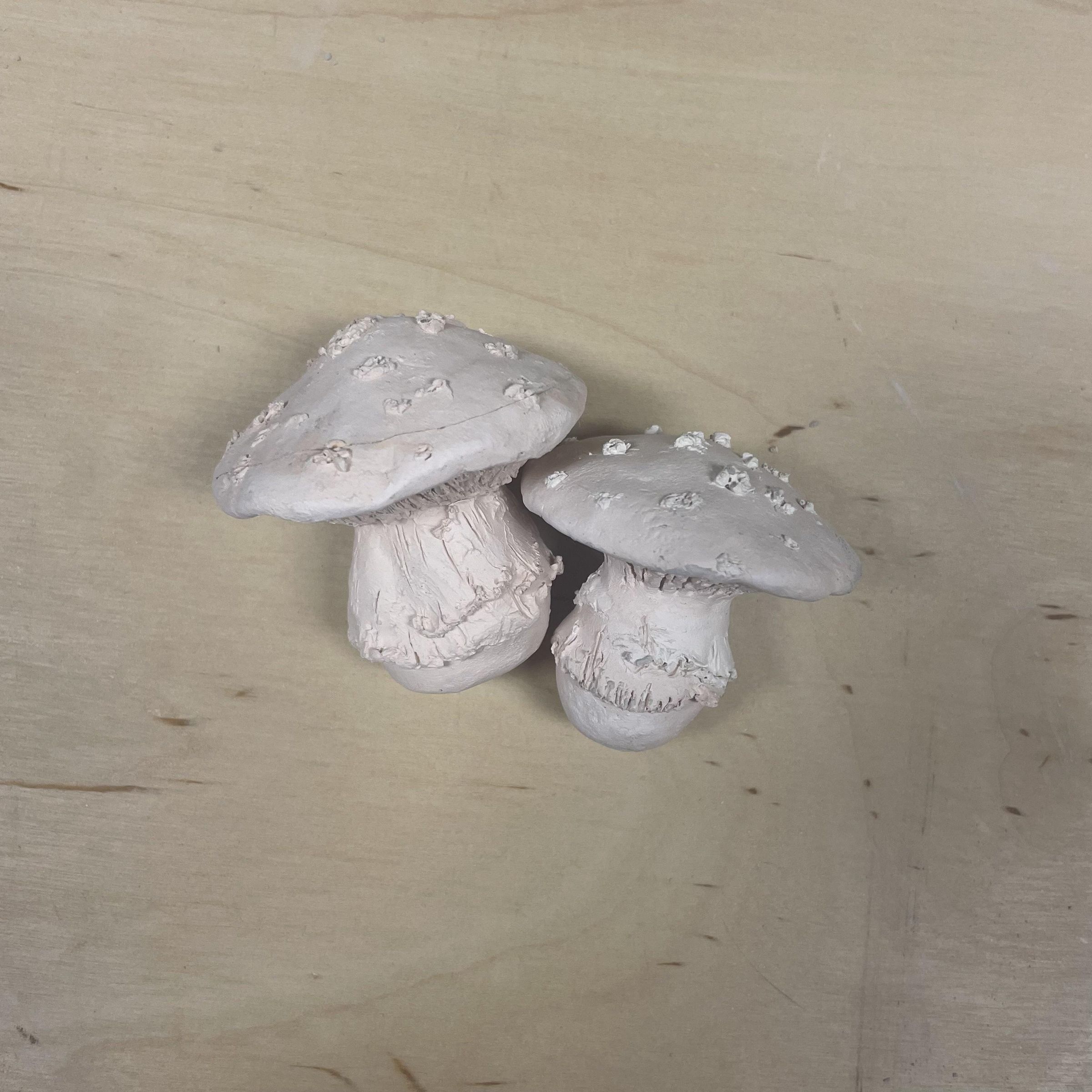 How to Make a Ceramic Mushroom : 15 Steps (with Pictures) - Instructables