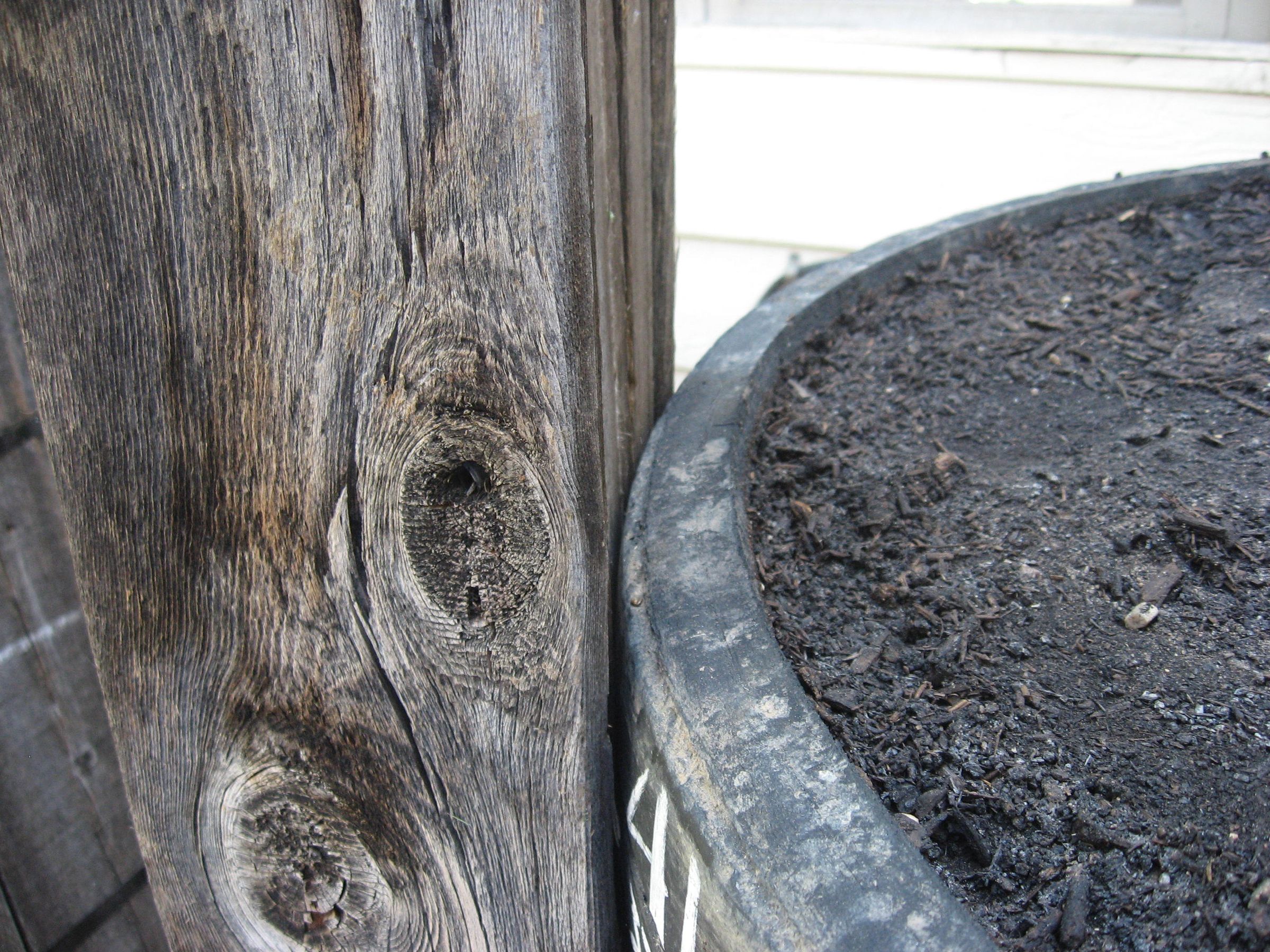 Build a Raised Bed Garden From Tires : 9 Steps (with Pictures ...