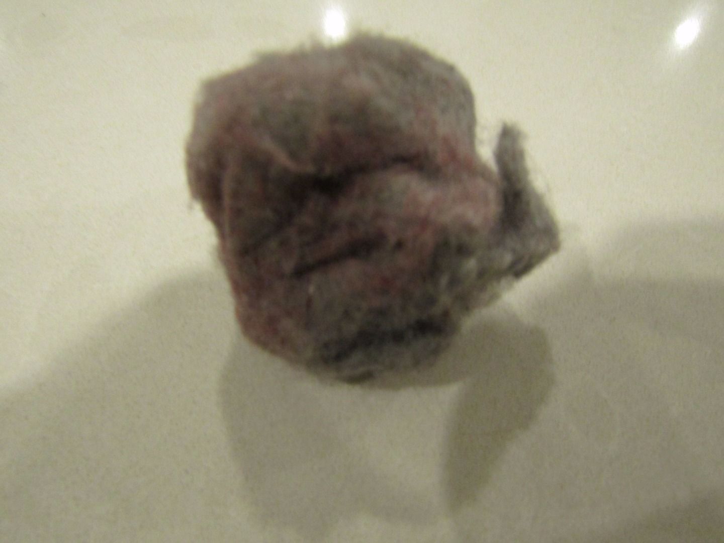 EASY LINT FIRE STARTERS : 5 Steps (with Pictures) - Instructables