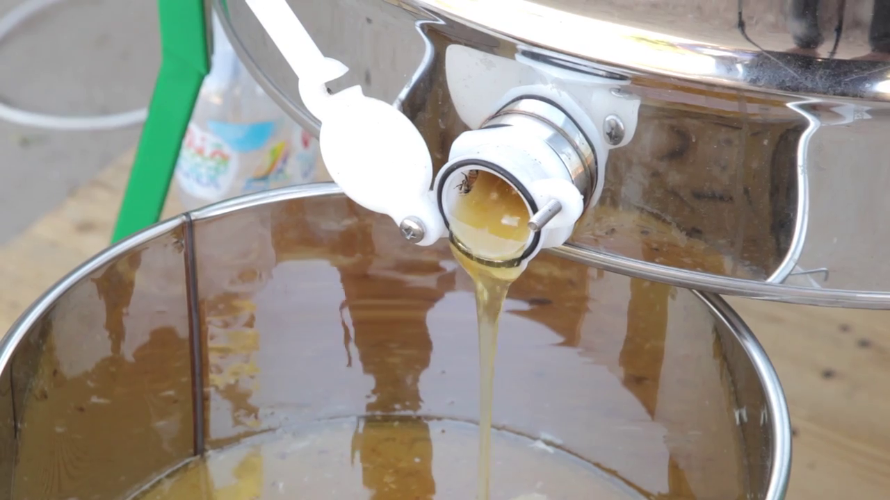 How to Extract Honey From Honeycomb : 7 Steps (with Pictures ...