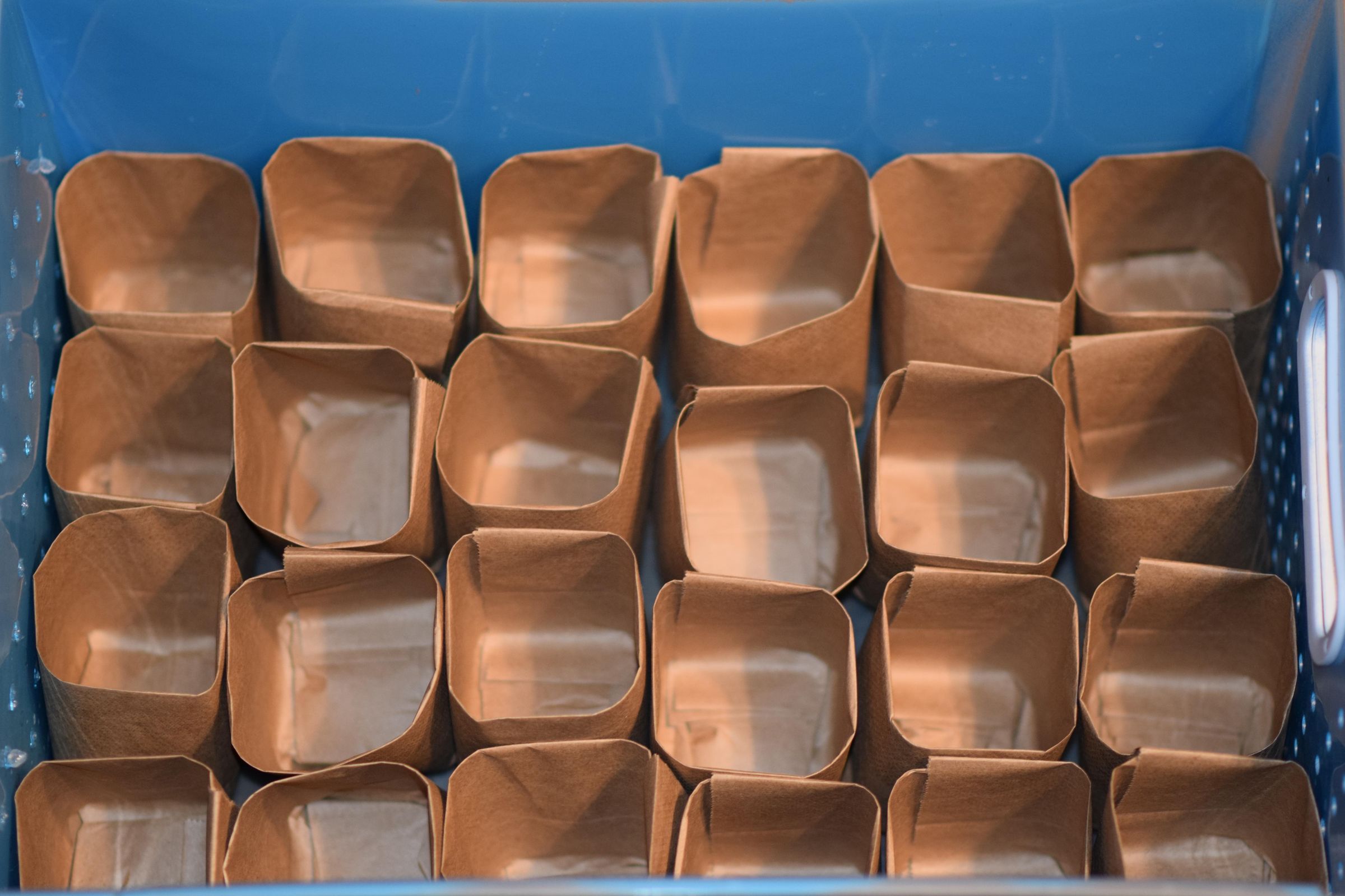 DIY Grow Light and Grow Strong Seedlings : 7 Steps (with Pictures ...