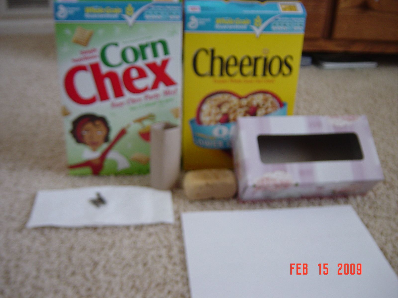 Easy to Make Gerbil Toy : 5 Steps (with Pictures) - Instructables