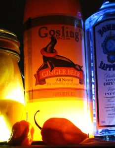 Pan Galactic Gargle Blaster : 7 Steps (with Pictures) - Instructables