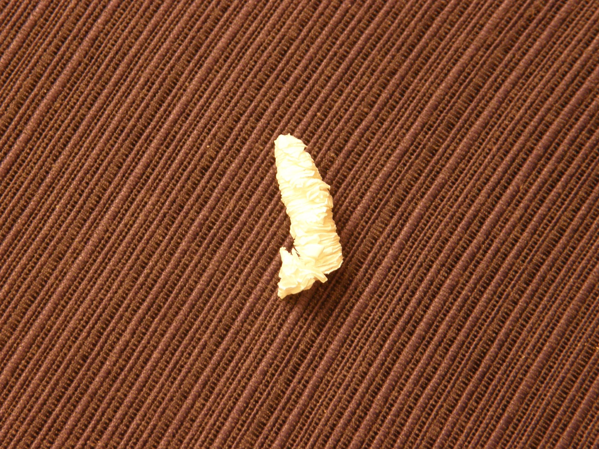 Turn a Straw Wrapper Into a Moving "worm" : 3 Steps - Instructables