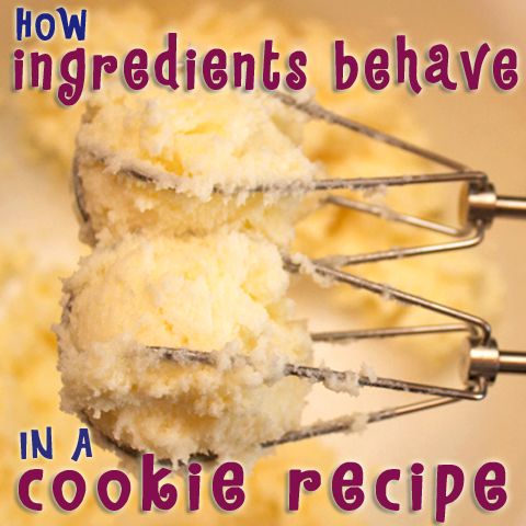 How Ingredients Behave in a Cookie Recipe : 3 Steps (with Pictures ...