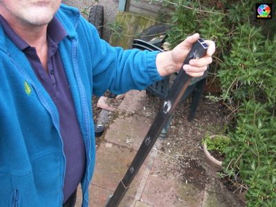 Pulling Up Small Trees, the Easy Way. : 8 Steps (with Pictures ...