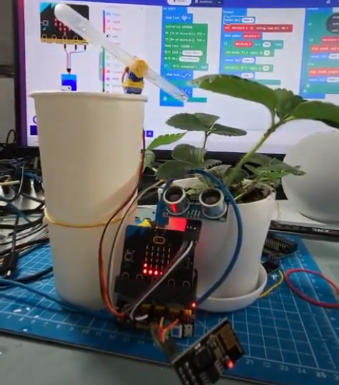 Accessible IoT Plant : 7 Steps (with Pictures) - Instructables