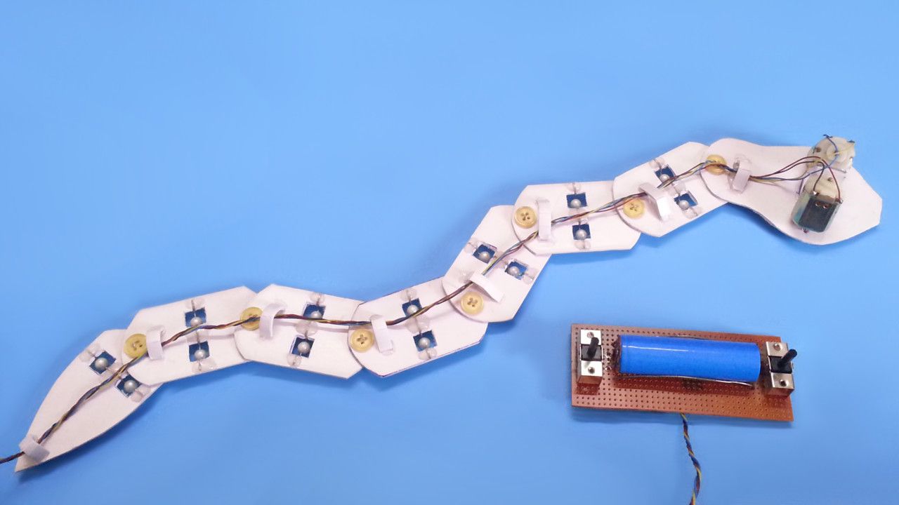 How to Make a Remote Control Snake : 8 Steps (with Pictures ...