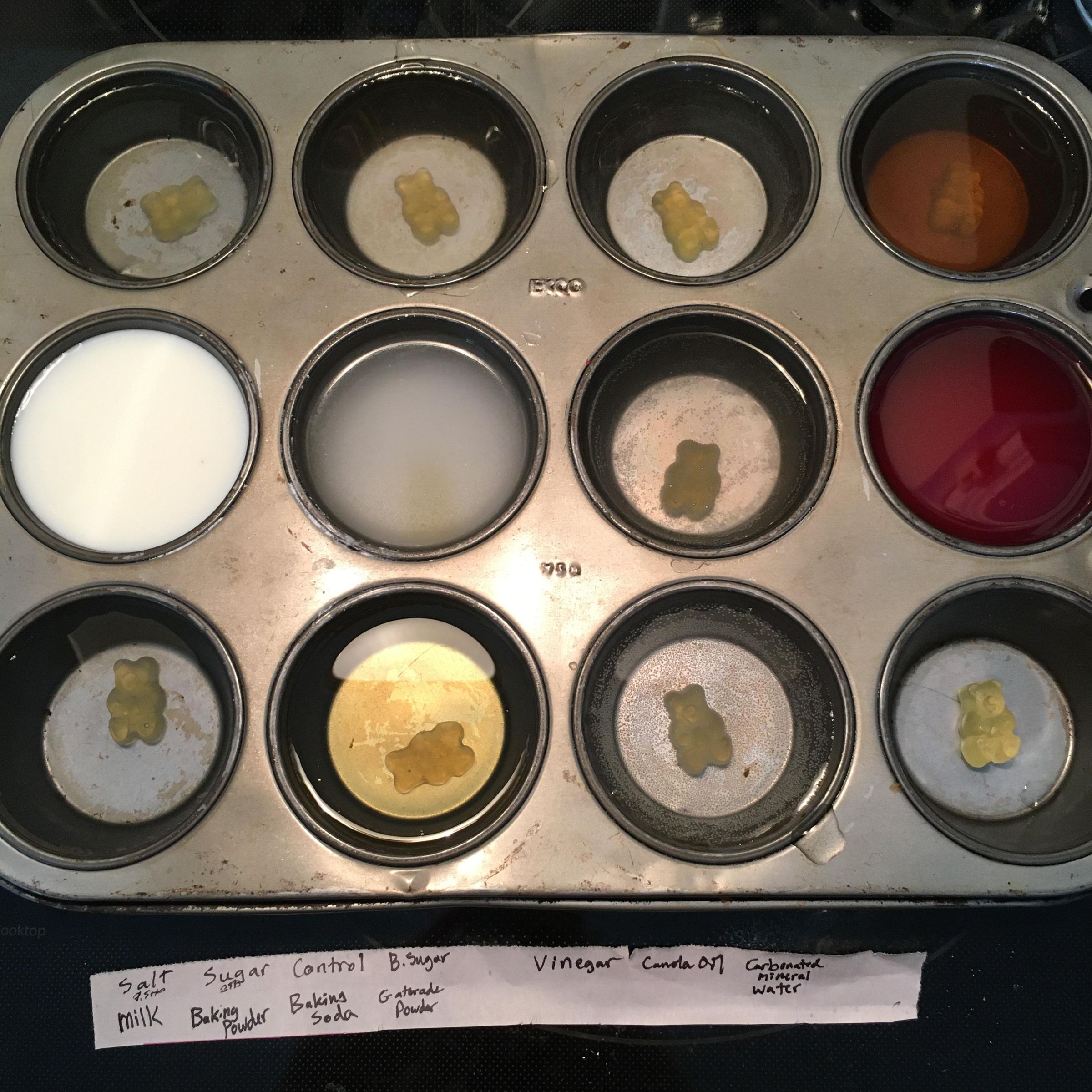 Gummi Bear Science : 7 Steps (with Pictures) - Instructables