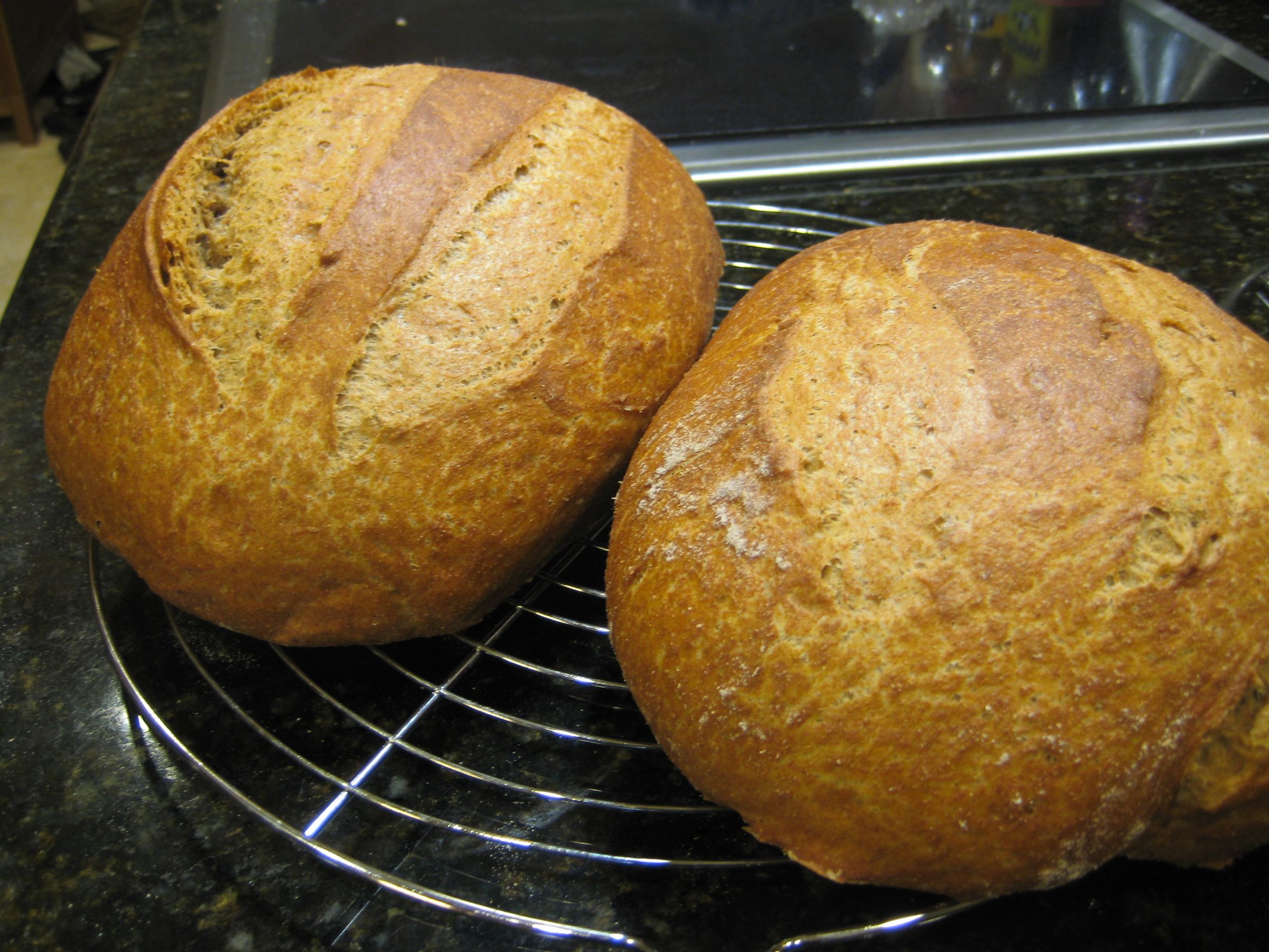 100% Whole Wheat Crusty No Knead Artisan Bread : 9 Steps (with Pictures ...