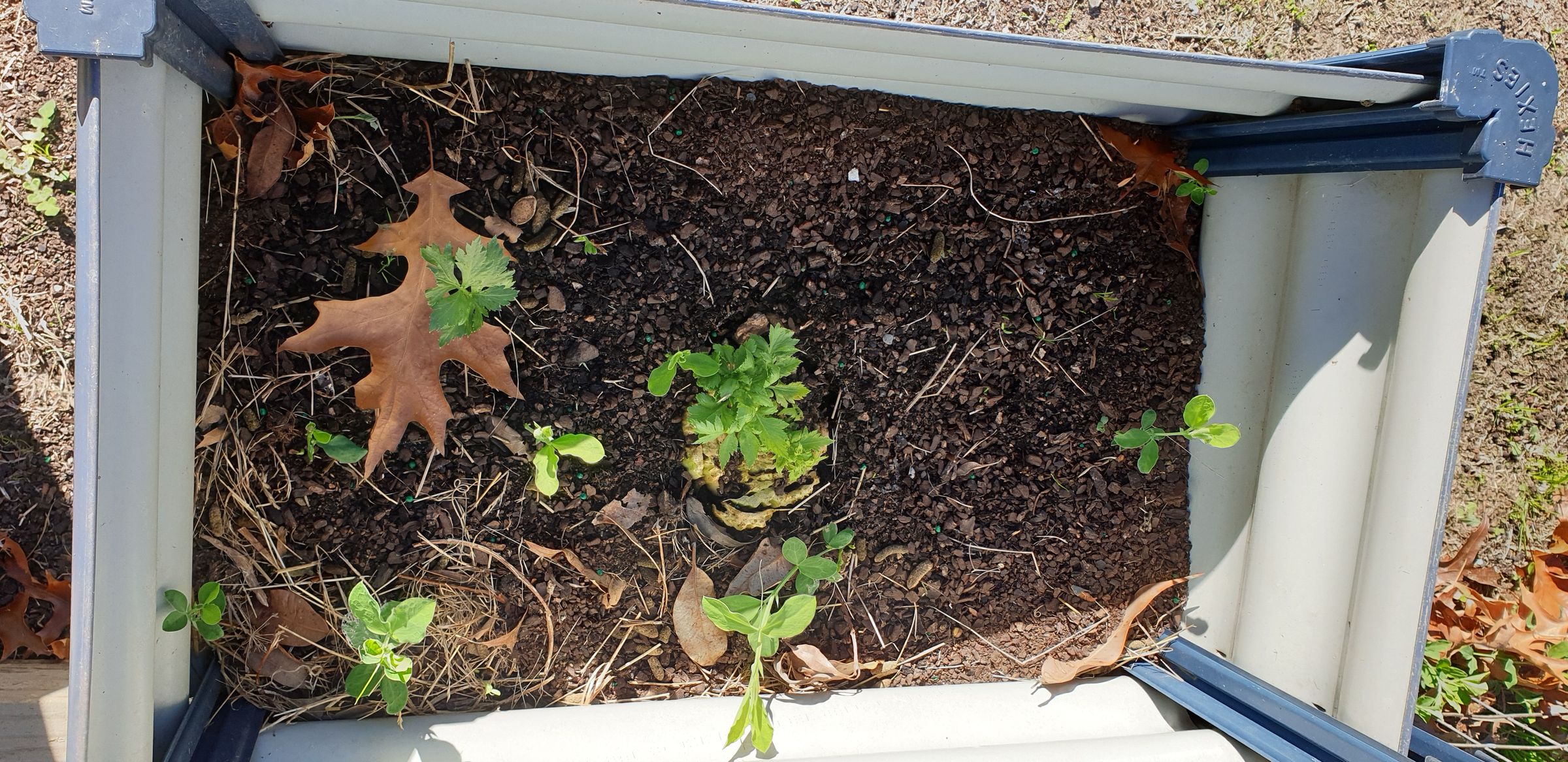 Self-wicking Rain Water Container Garden : 13 Steps (with Pictures ...