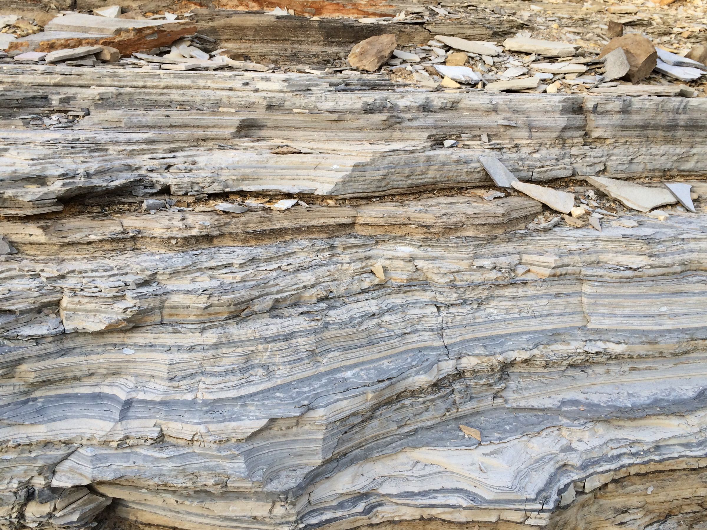 Split Limestone to Find Fossils!! : 4 Steps (with Pictures) - Instructables