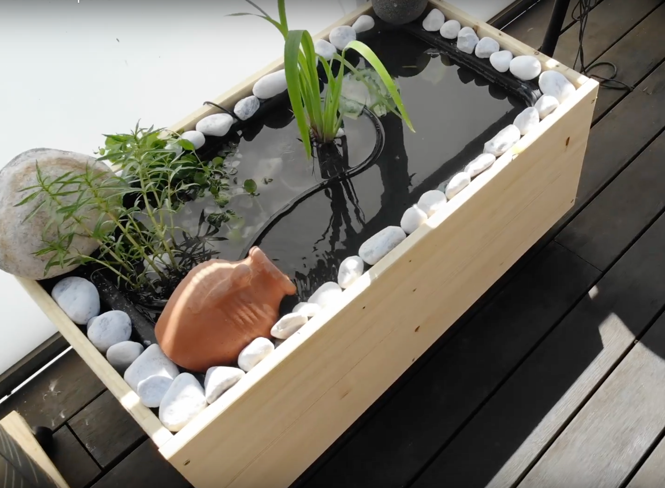DIY Mini Pond : 3 Steps (with Pictures) - Instructables