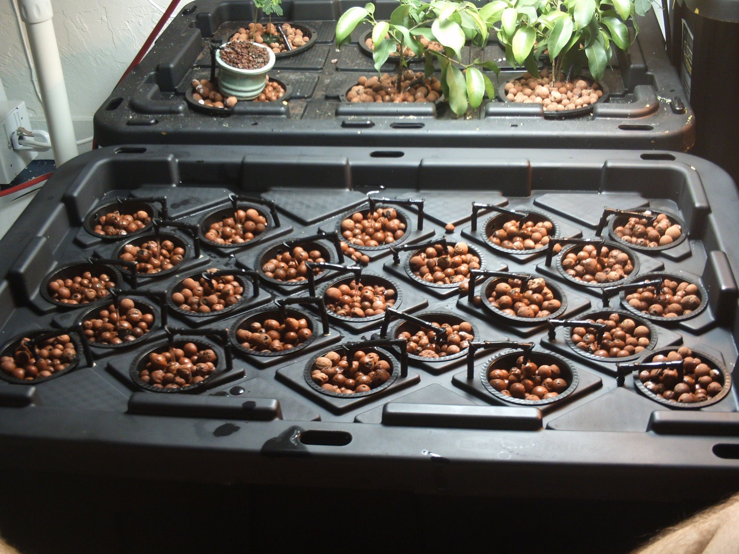 How to Build a Home Hydroponics System : 8 Steps (with Pictures ...