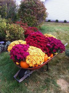 How to Create a Fall Outdoor Display : 10 Steps - Instructables