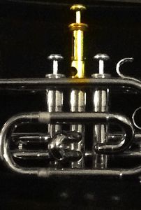 Basic Maintenance of a Cornet : 9 Steps - Instructables